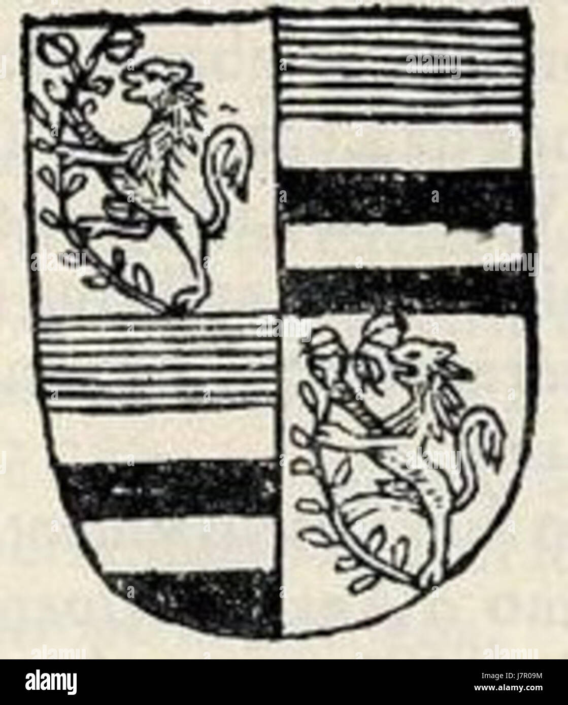 This title likely refers to an Italian document or project involving ...