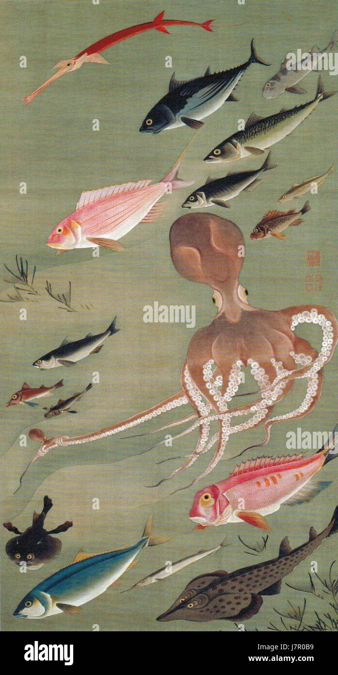 'Fish' from Ito Jakuchu's 'Colorful Realm of Living Beings' is a ...