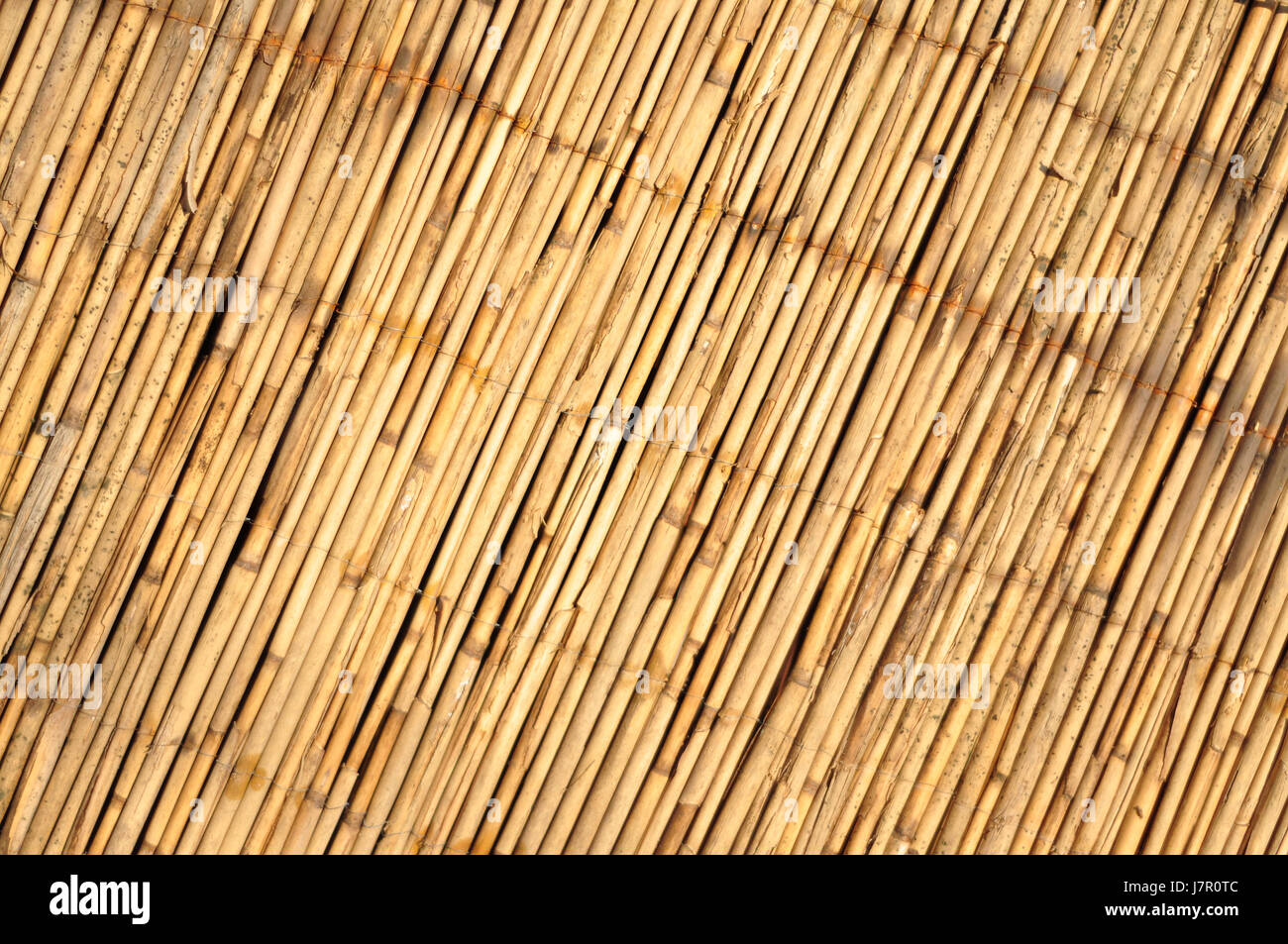 bamboo backdrop background texture macro close-up macro admission close ...