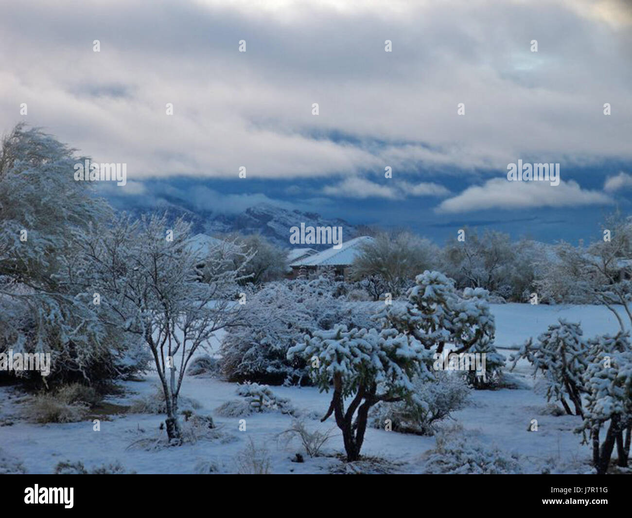 The snowfall in Tucson and Oro Valley during 2011 was an unusual ...