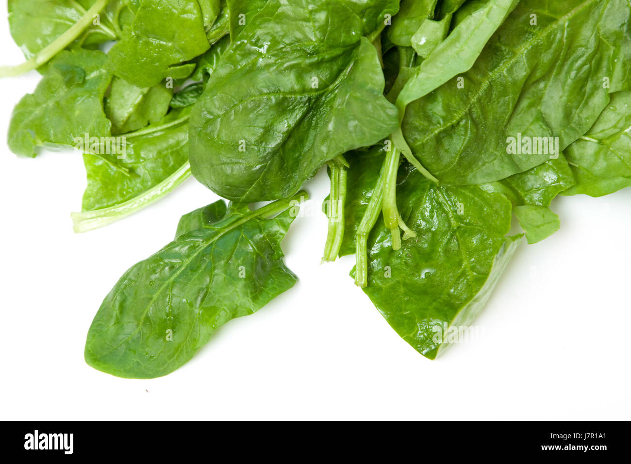 vitamins vitamines green leaves vegetable spinach foliage healthy glass ...