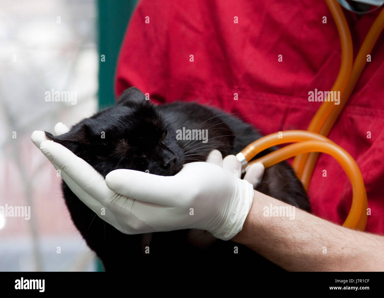 Operation compassionate heart hi-res stock photography and images - Alamy
