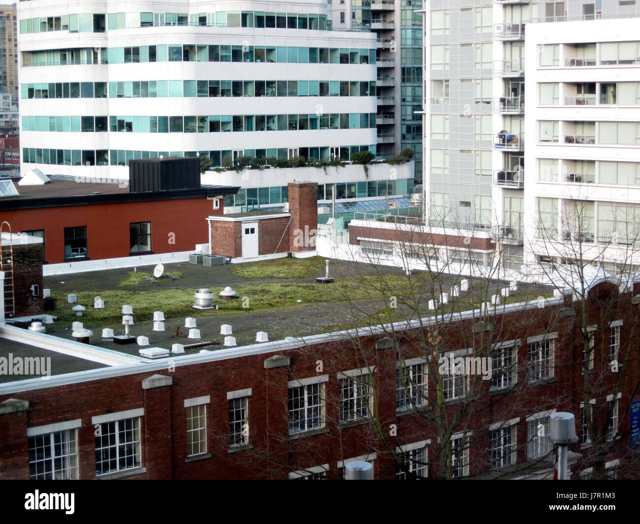 Vancouver, known for its green spaces, presents a vibrant and ...