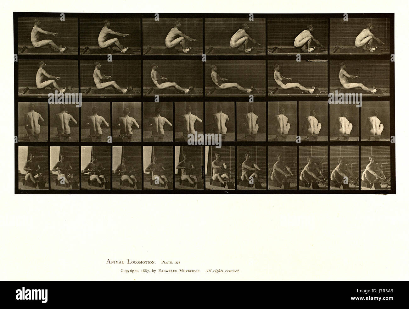 'Animal Locomotion. Plate 328' is part of a series of photographs by ...