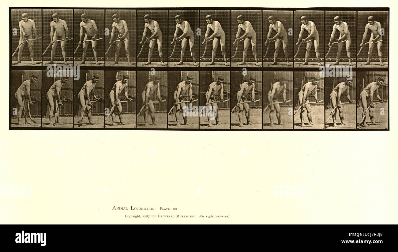 'Animal Locomotion' is a famous work by Eadweard Muybridge, featuring ...