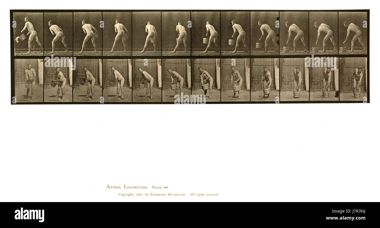 Plate 398 from 'Animal Locomotion' depicts the movement of animals ...