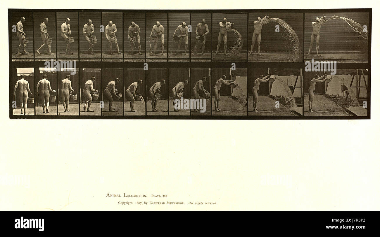 'Animal Locomotion' Plate 399, part of Eadweard Muybridge's series ...