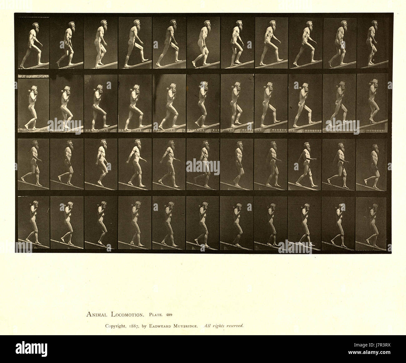 'Animal Locomotion' is a photographic study by Eadweard Muybridge ...