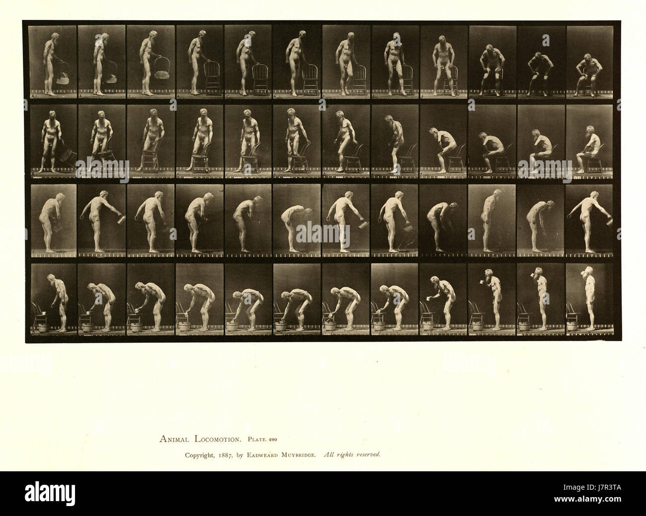 Animal Locomotion, Plate 490, is part of Eadweard Muybridge’s ...