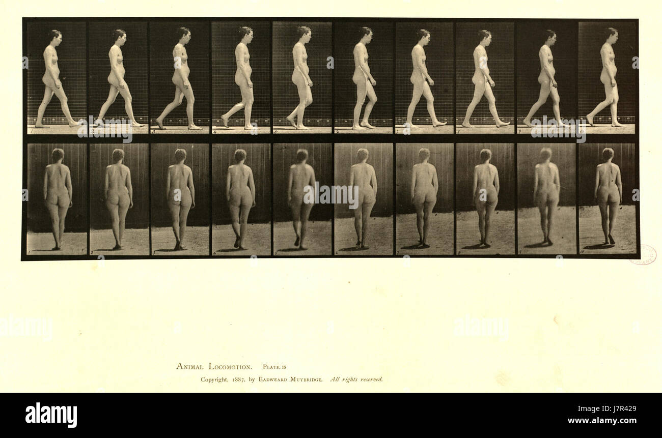 Audran Mois' Grotesques G 188 III 03 04 is an intricate artwork from ...