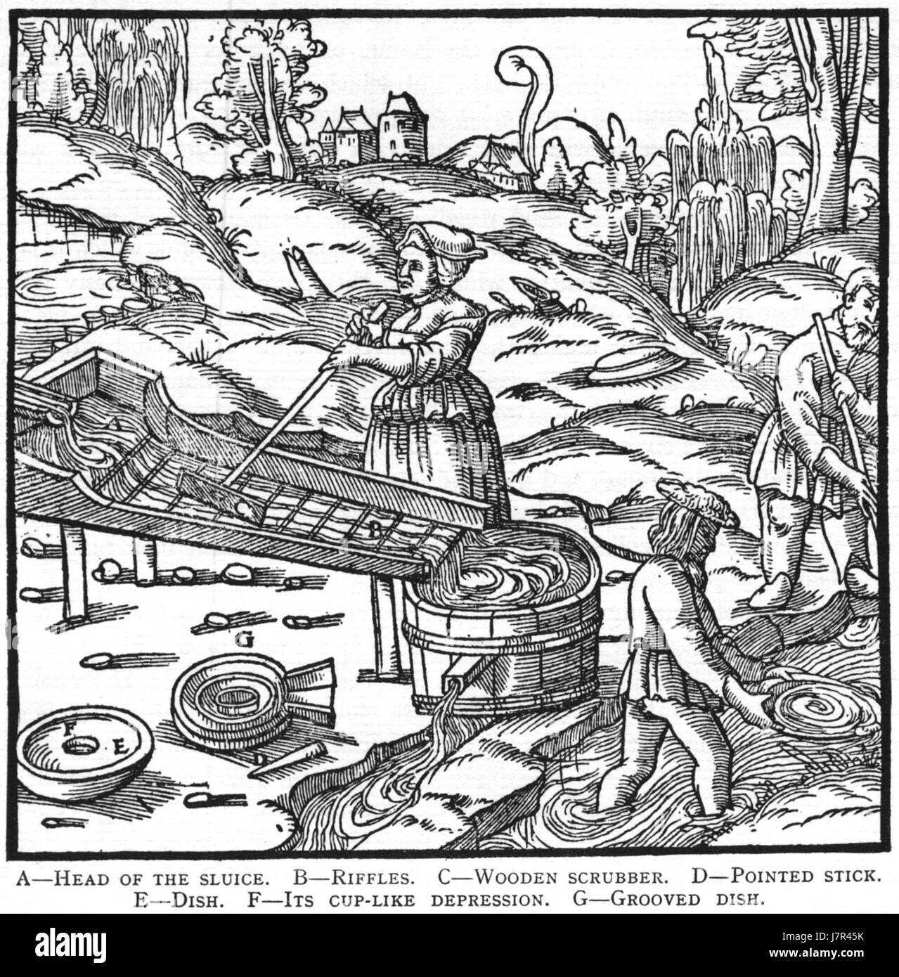 This title seems to refer to a specific book, 'Book 8, 42,' which may ...