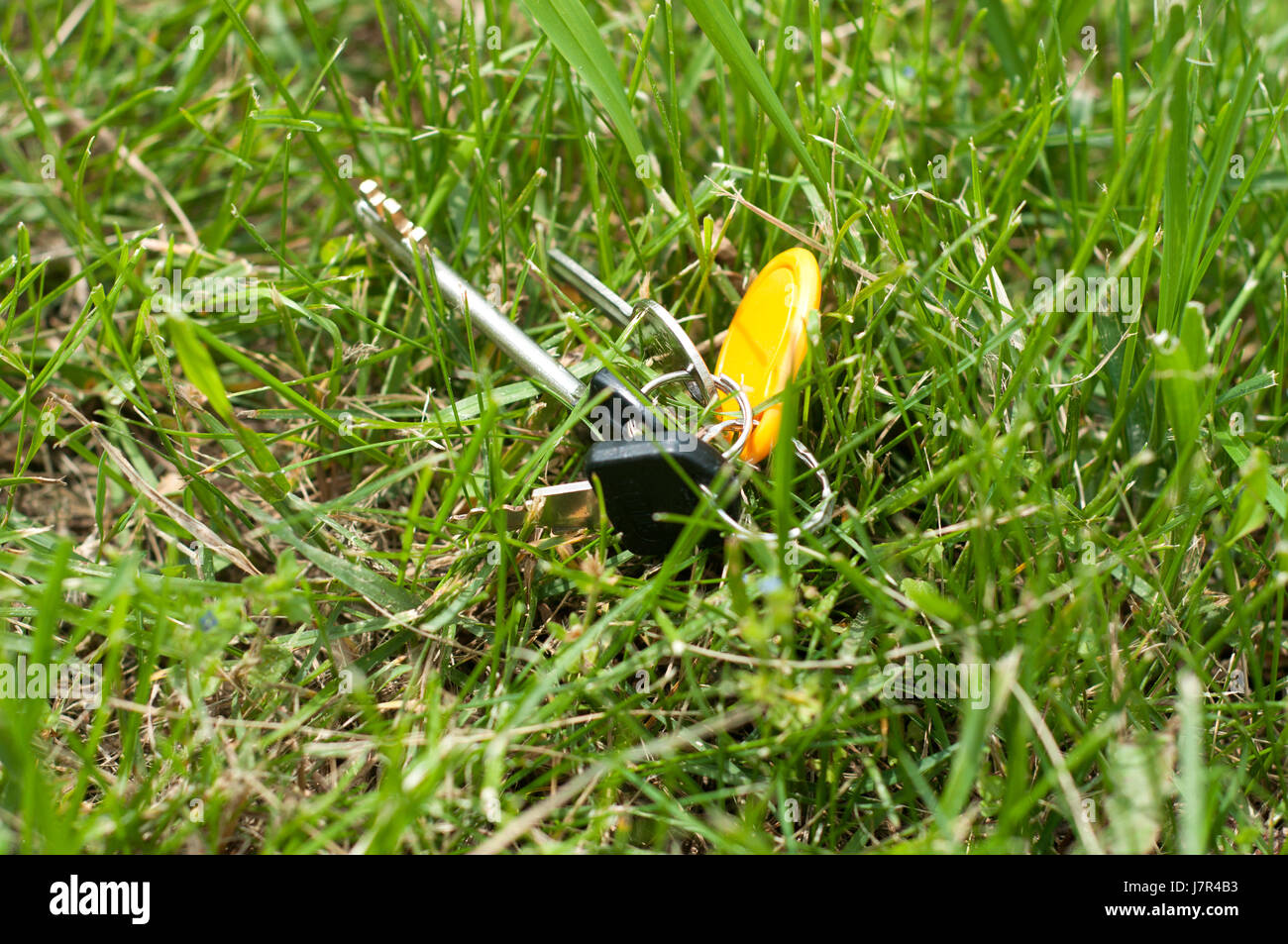 Bunch of keys isolated on the grass in park Stock Photo - Alamy