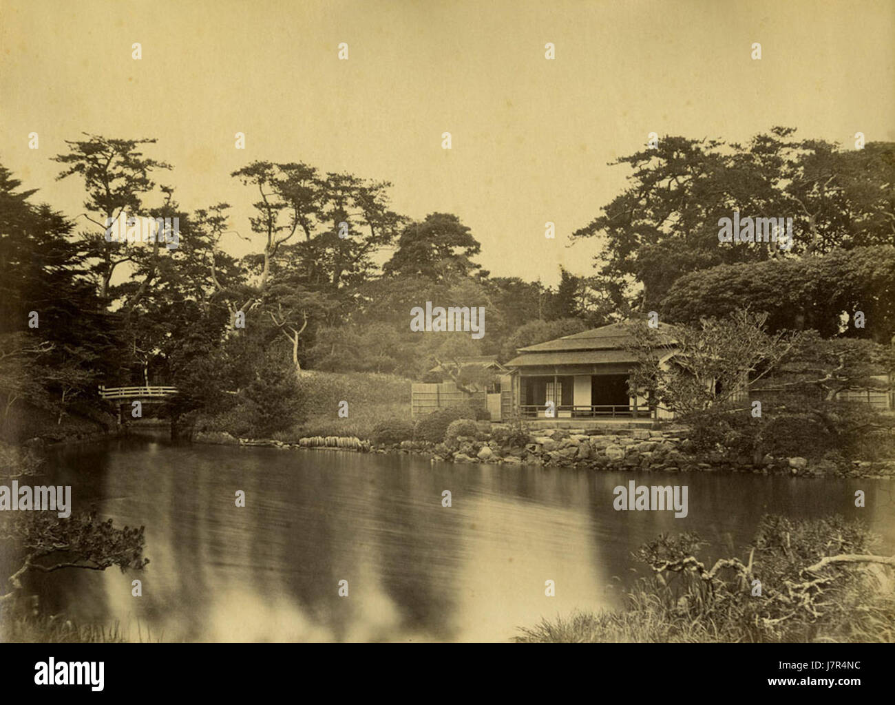 Yedo High Resolution Stock Photography and Images - Alamy