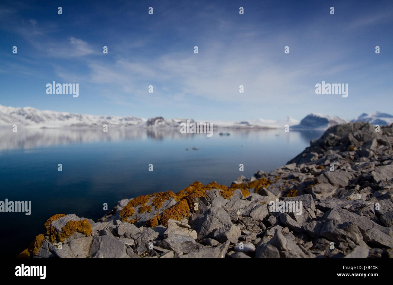 science arctic ice fjord scandinavia snow blue science research arctic ...