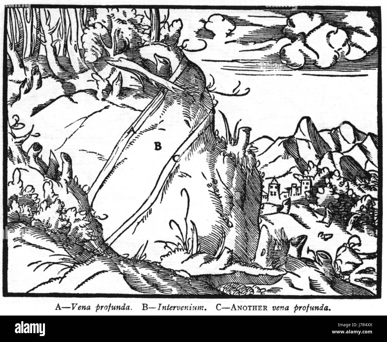 This title refers to a specific entry or reference labeled 'Book3 416 ...