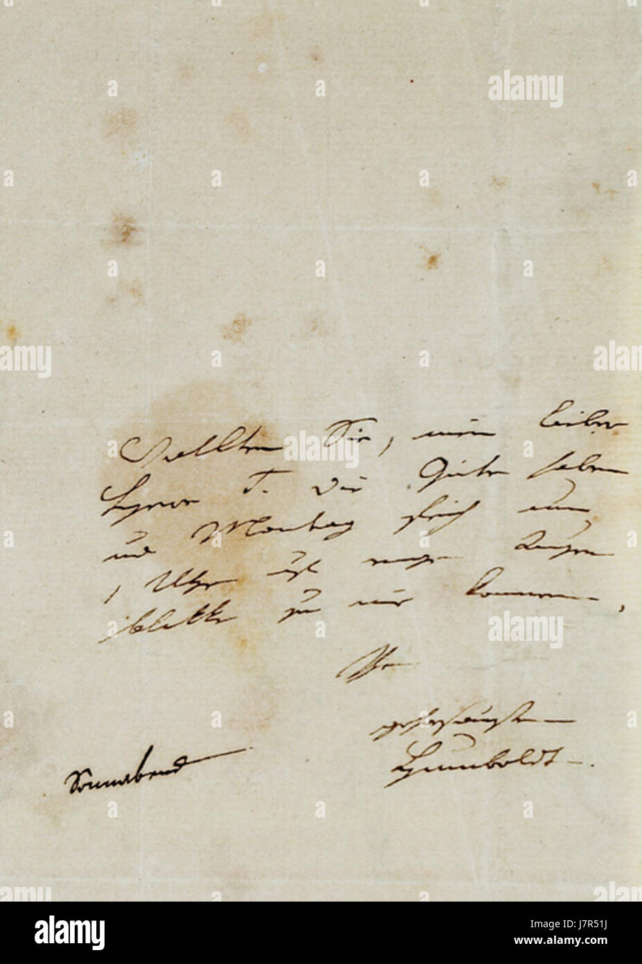 This letter, written by Alexander von Humboldt to Wilhelm Ternite in ...