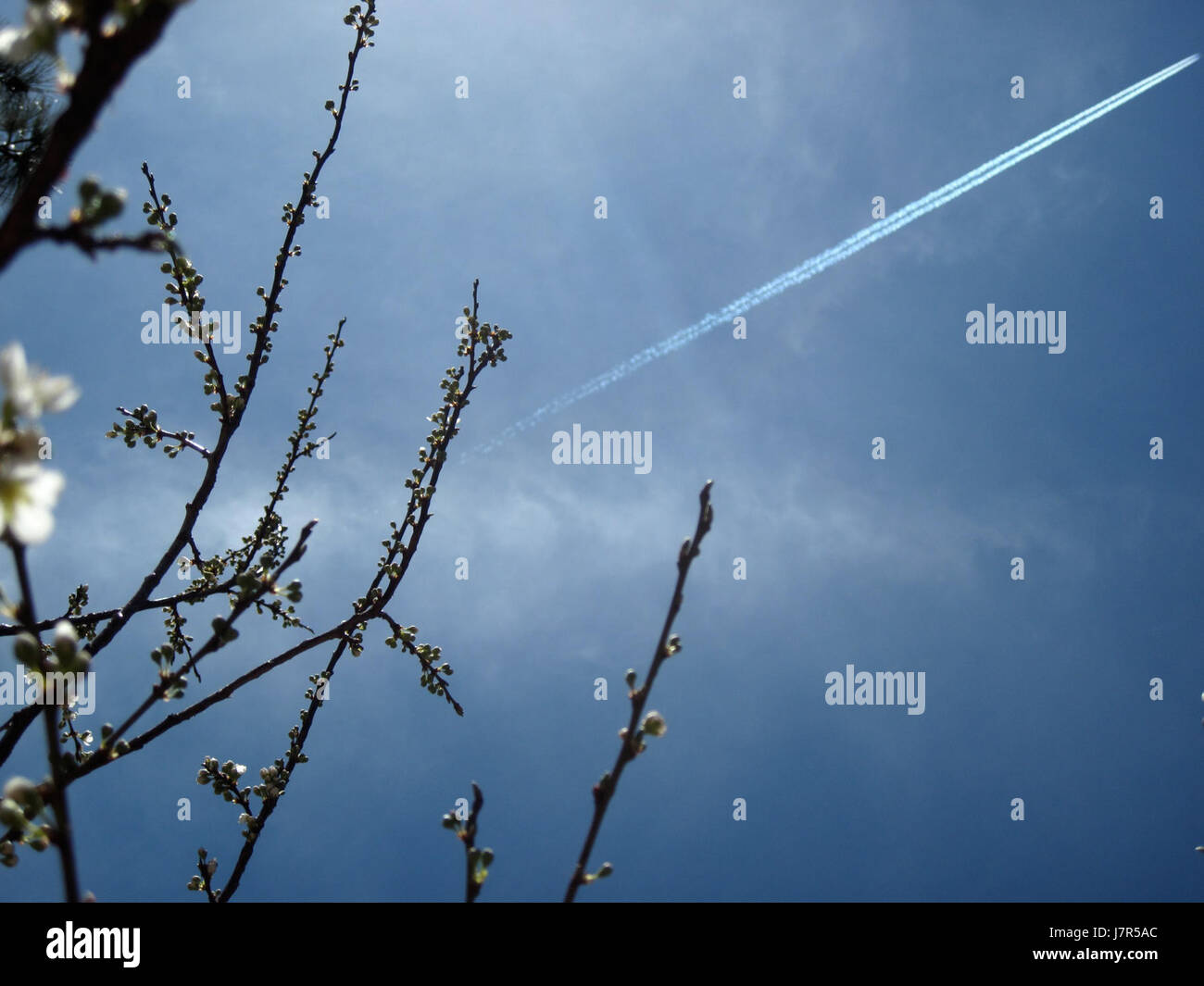 Intersecting shapes hi-res stock photography and images - Alamy