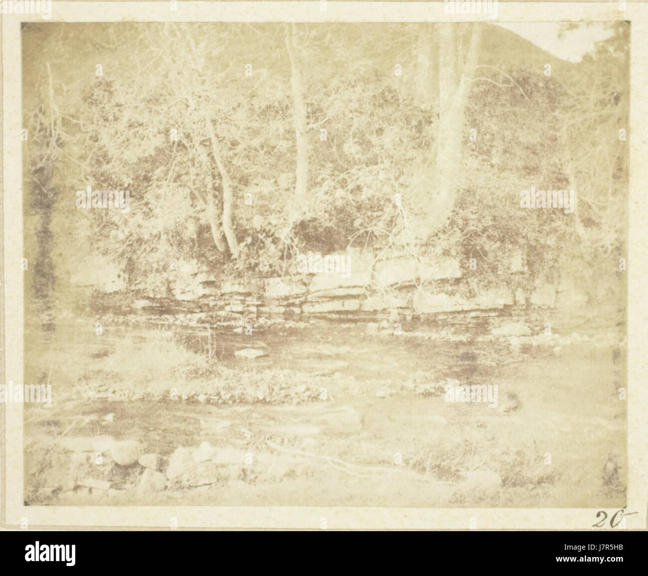 This photograph by Henry Fox Talbot captures a mountain rivulet flowing ...