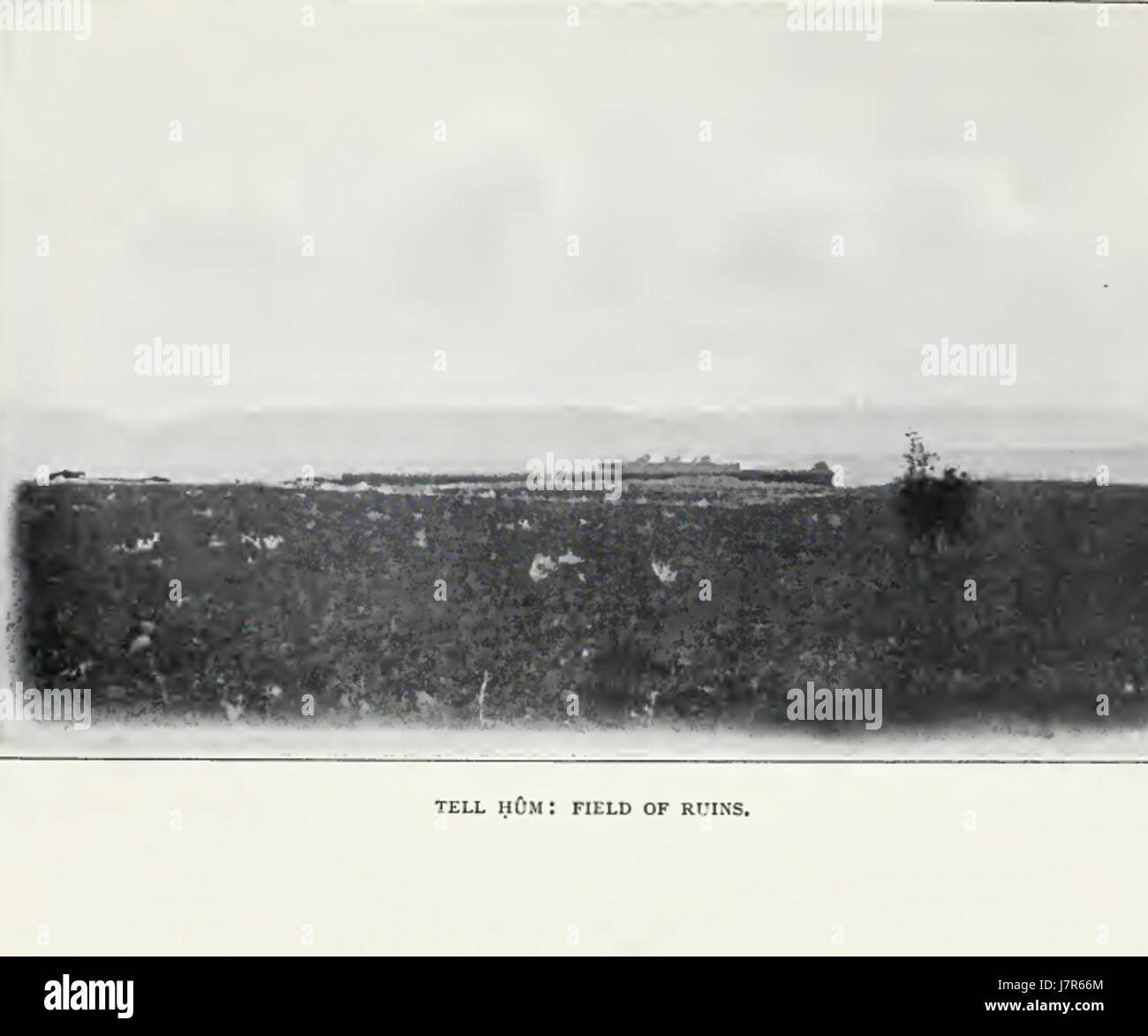 Capernaum map hi-res stock photography and images - Alamy