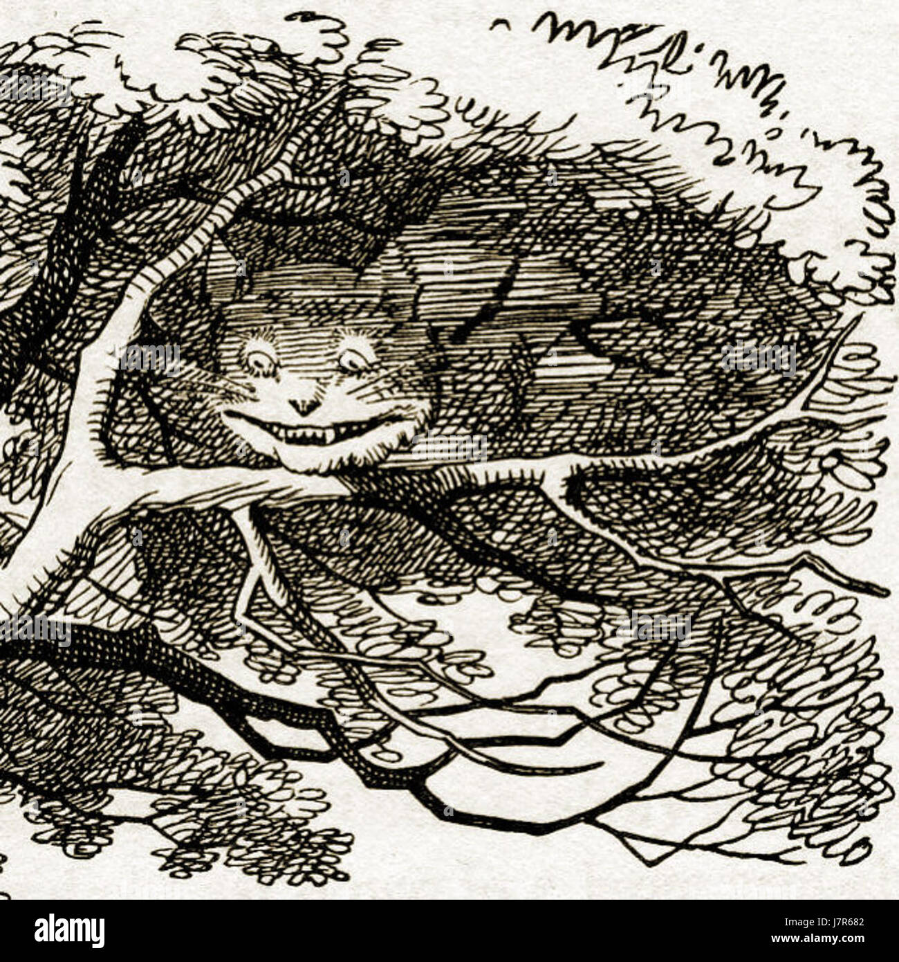 The Cheshire Cat vanishing, a well-known scene from Lewis Carroll's ...
