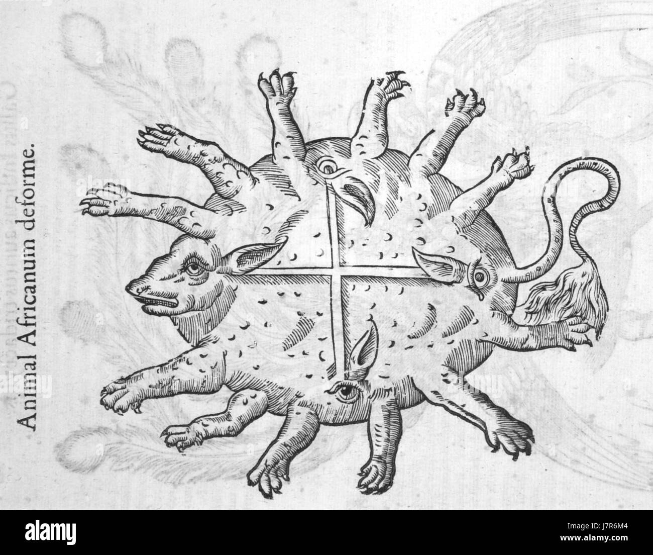 0323 hi-res stock photography and images - Alamy