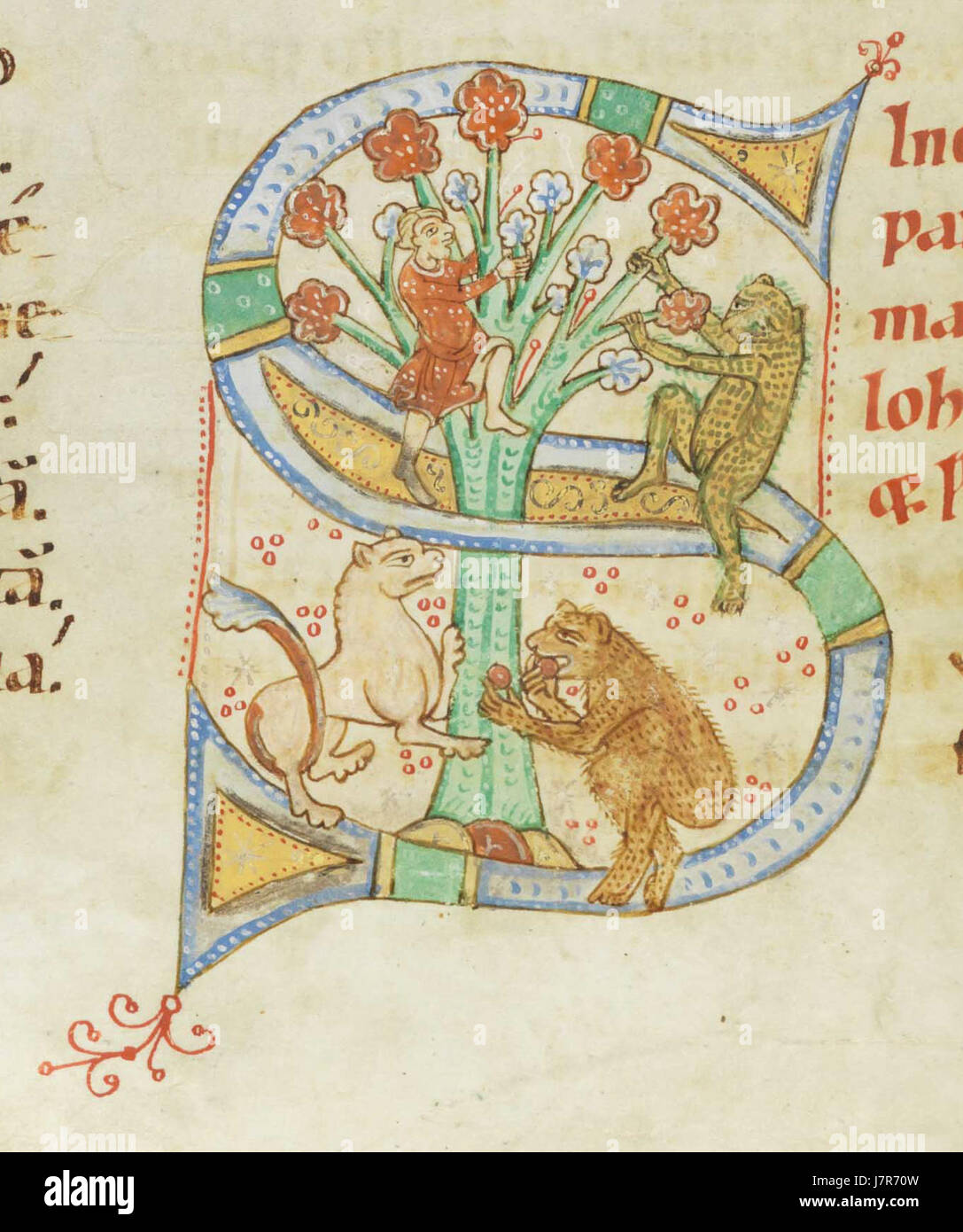 The Codex Bodmer 127 117v is an ancient manuscript, offering ...