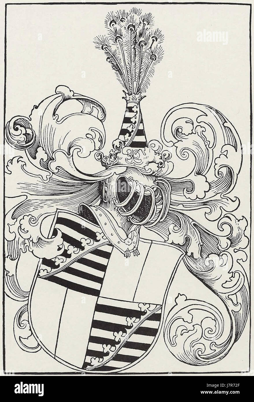 The coat of arms of John V, Duke of Saxe-Lauenburg, symbolizing his ...