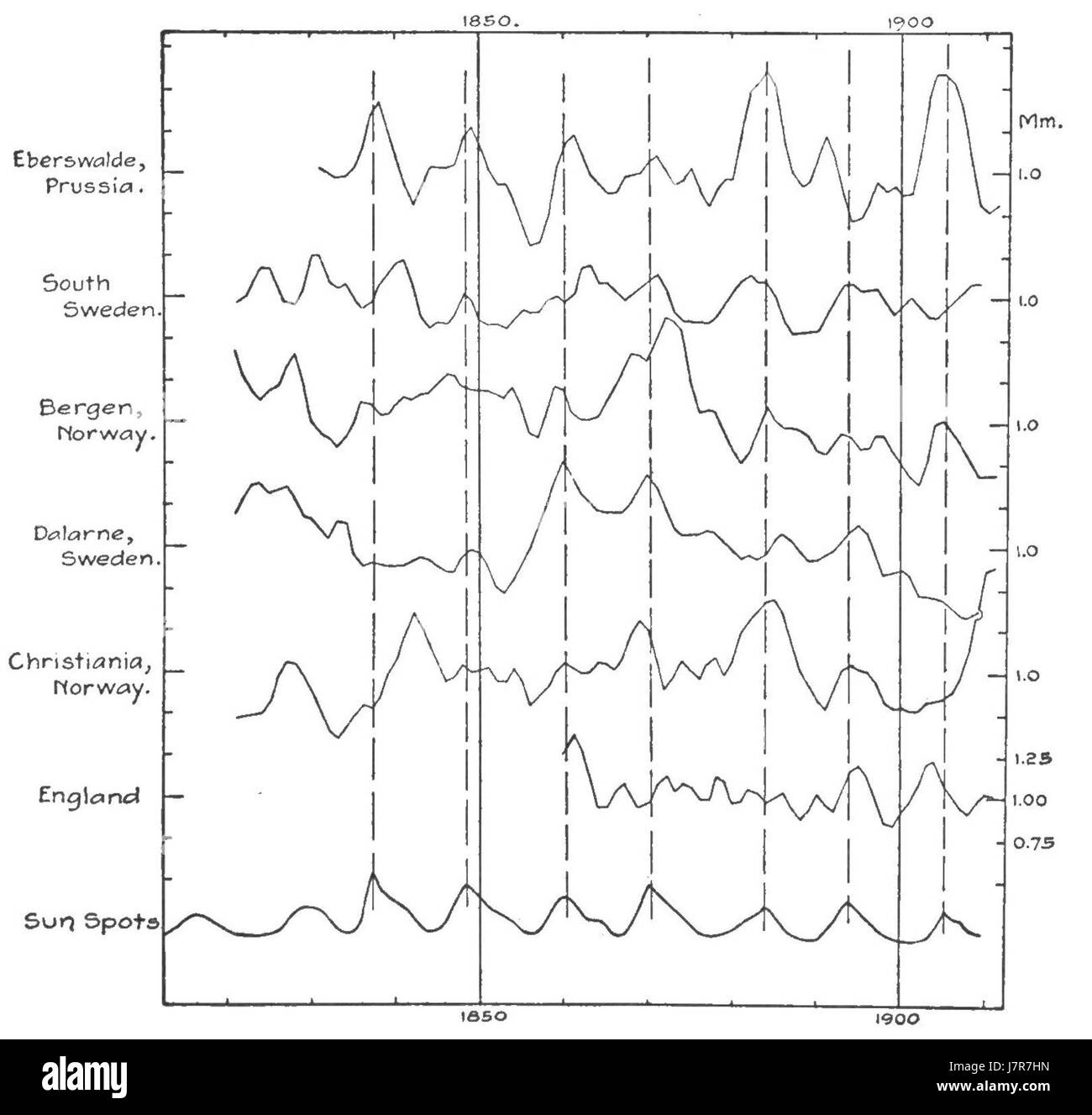 Tree fig tree Cut Out Stock Images & Pictures - Alamy