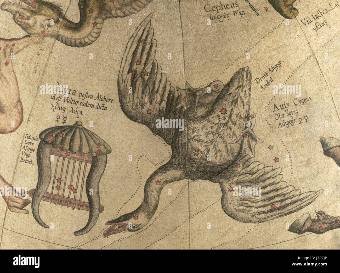 Cygnus et Lyra refers to a star chart by the renowned Flemish ...