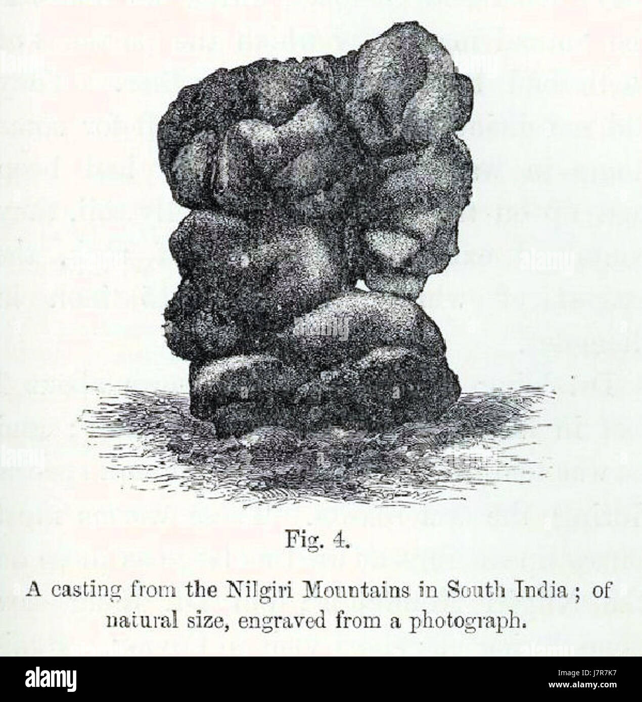 Charles Darwin's work on earthworms, depicted in Figure 4B, explores ...