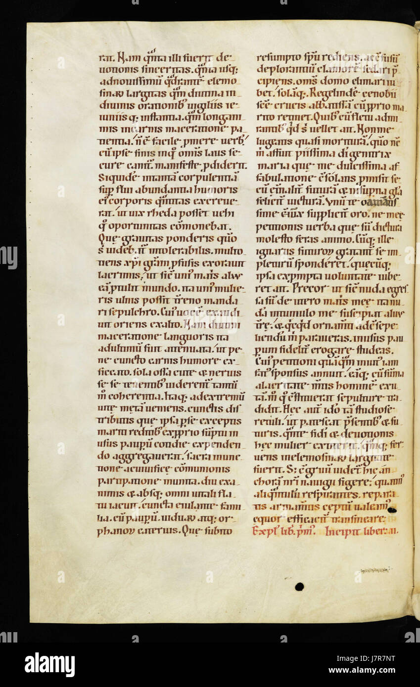 Codex studies hi-res stock photography and images - Alamy