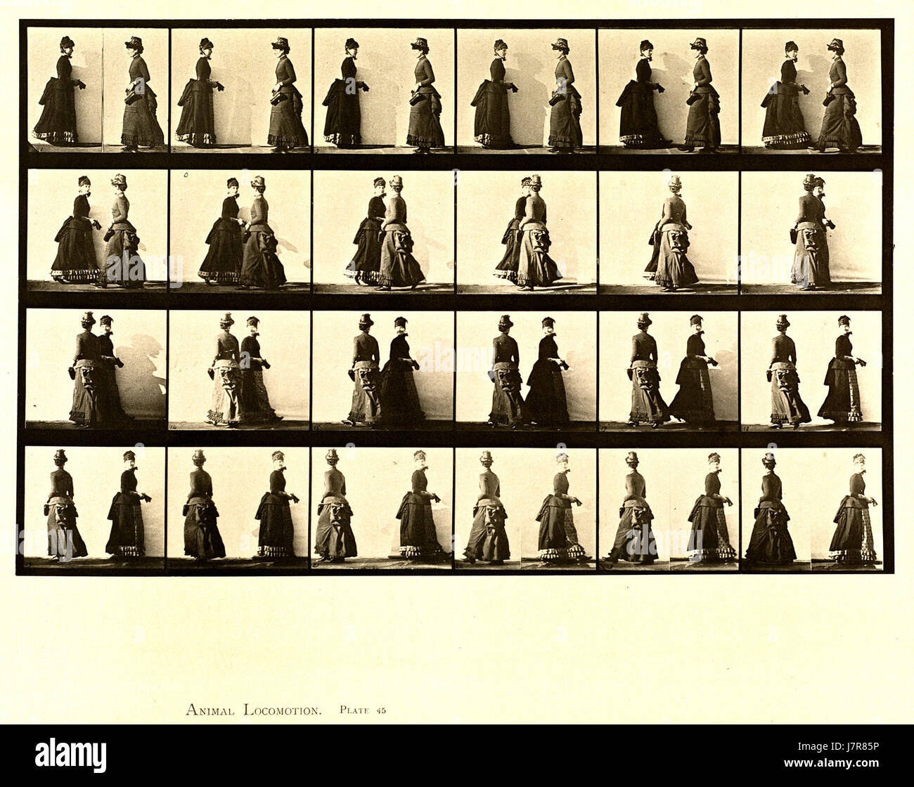 A plate from the series 'Animal Locomotion' depicting various stages of ...