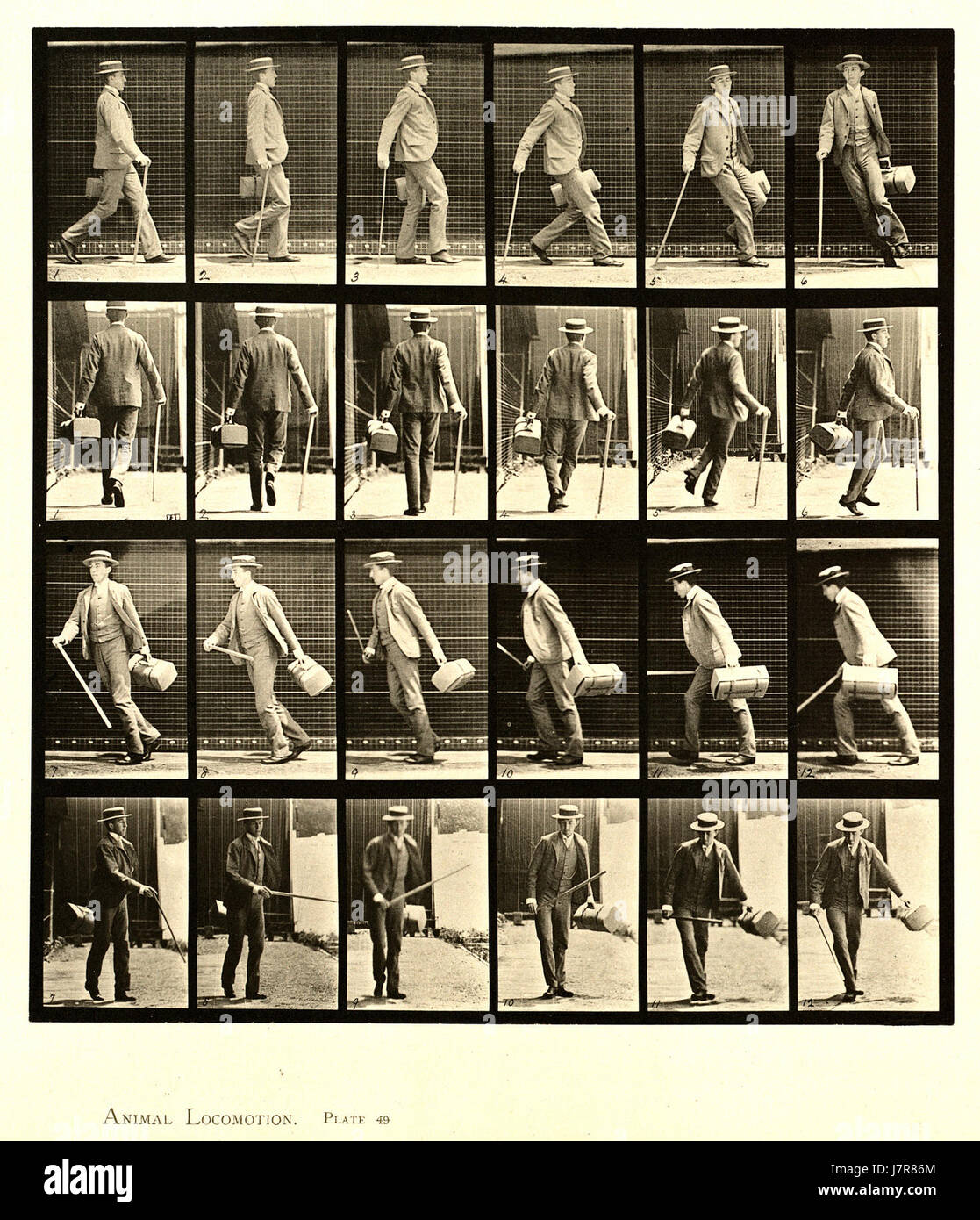 Plate 49 from the 'Animal Locomotion' series, held in the Boston Public ...