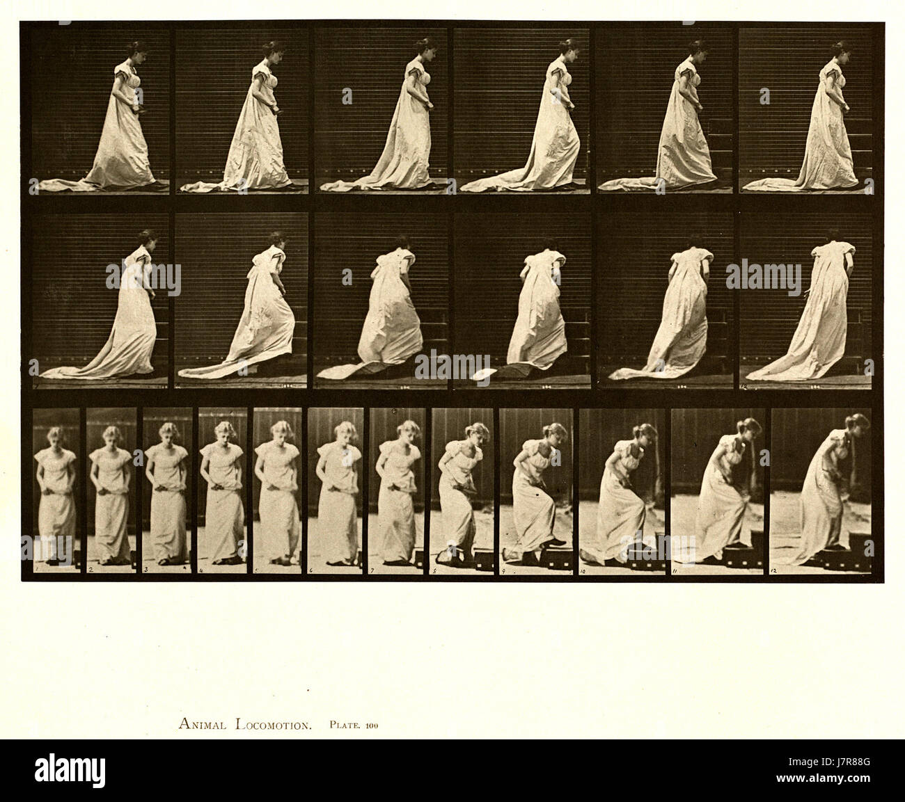Plate 100 from 'Animal Locomotion' by Eadweard Muybridge shows a series ...