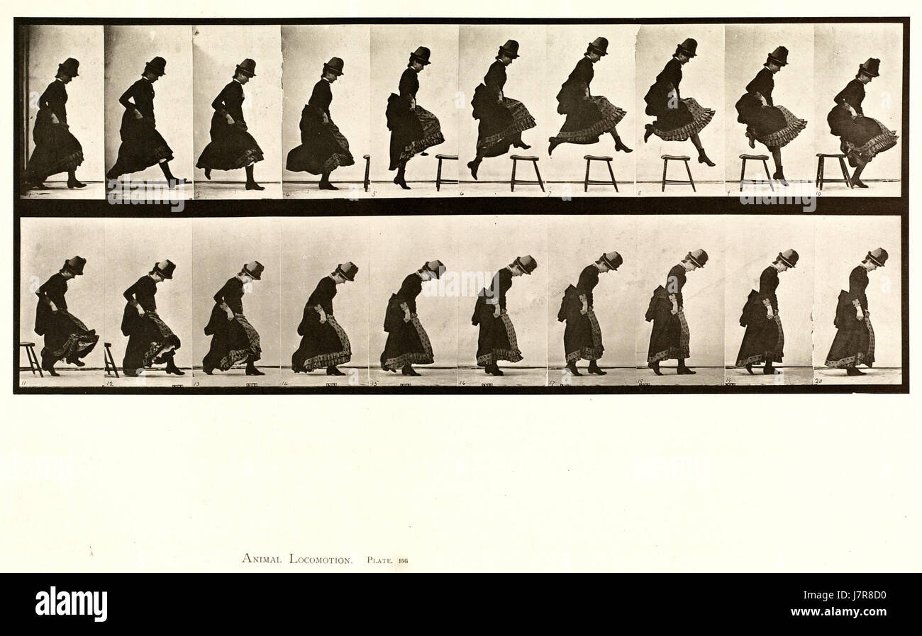 Eadweard Muybridge's Plate 156 from 'Animal Locomotion' series ...