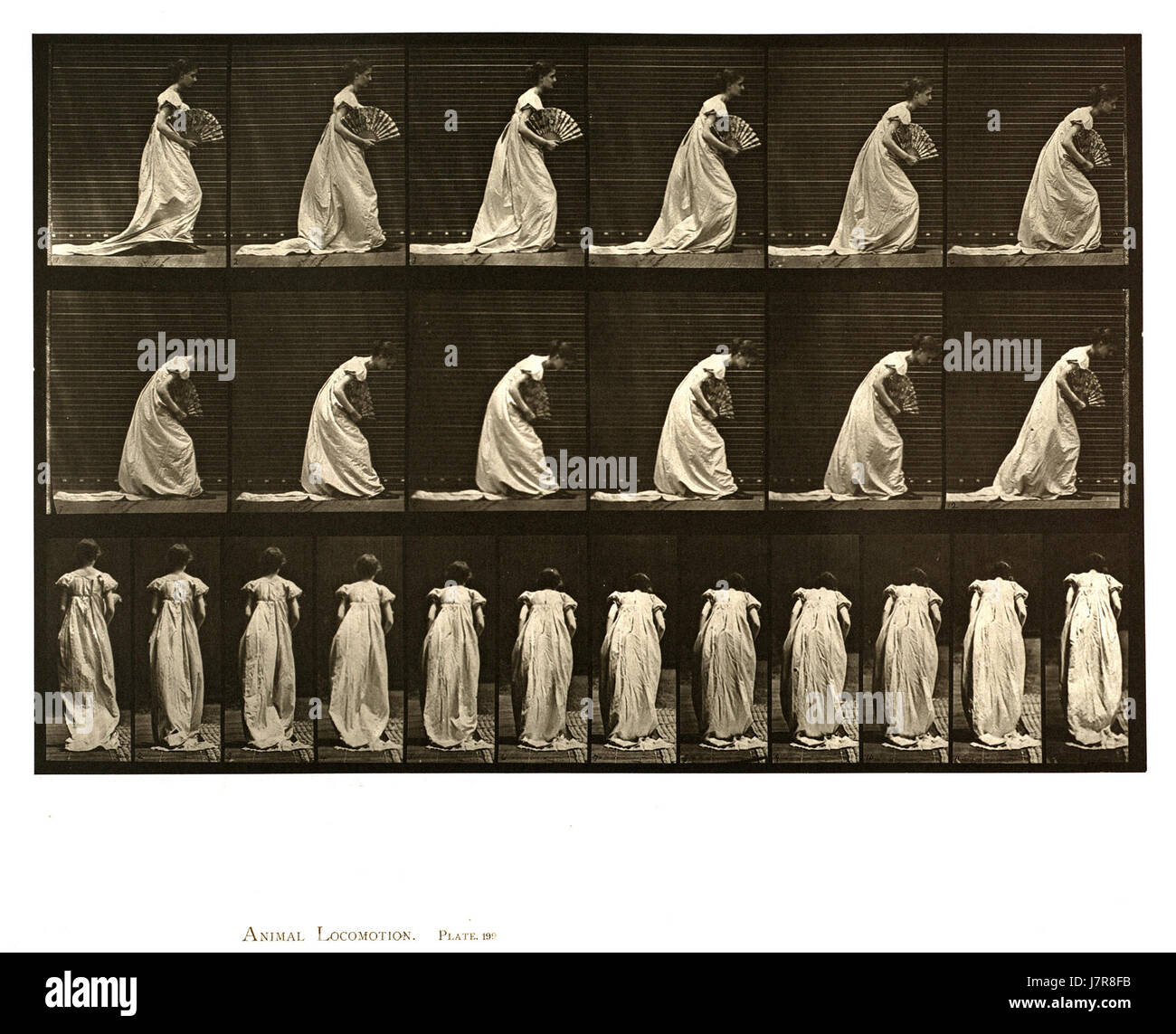 *Animal Locomotion*, Plate 199, is a famous series of photographs by ...