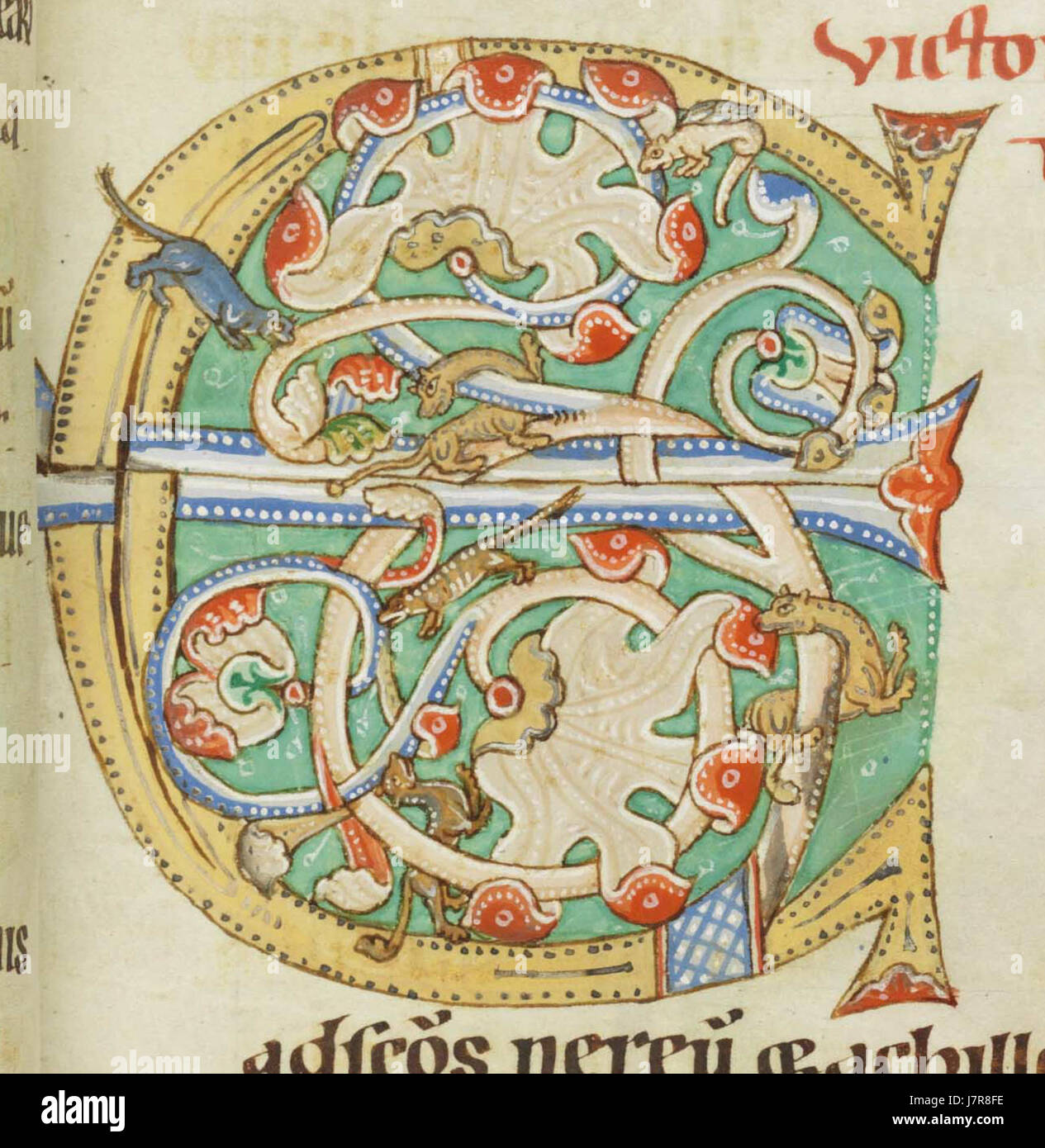 Codex Bodmer 127 066r Detail Stock Photo - Alamy