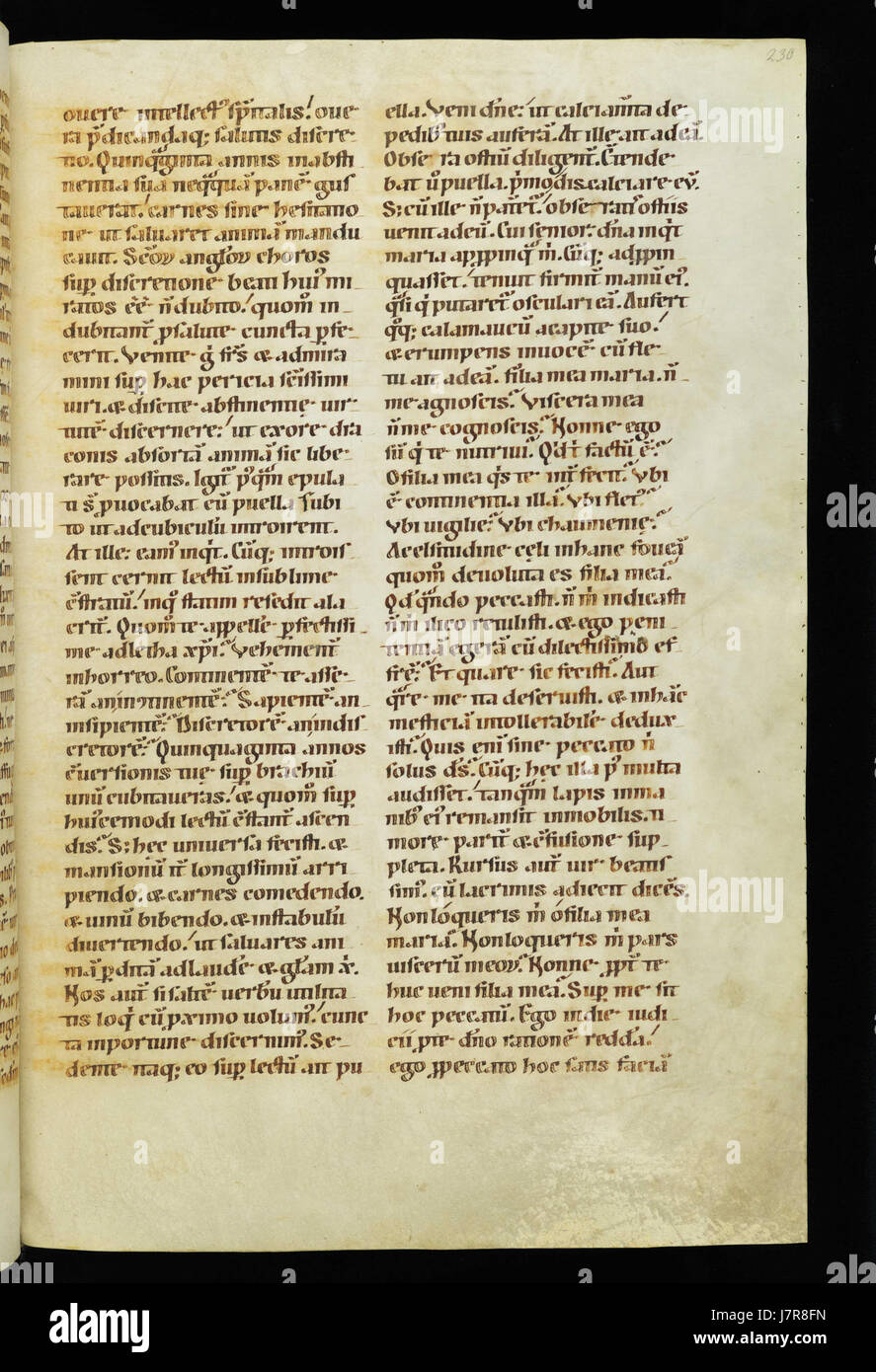Codex Bodmer 127 230r is part of a famous collection of ancient ...