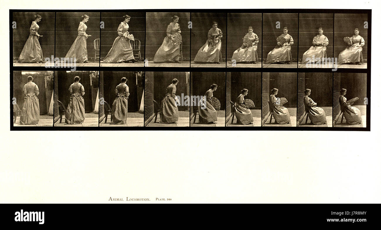 This image shows Plate 240 from the work 'Animal Locomotion' by ...