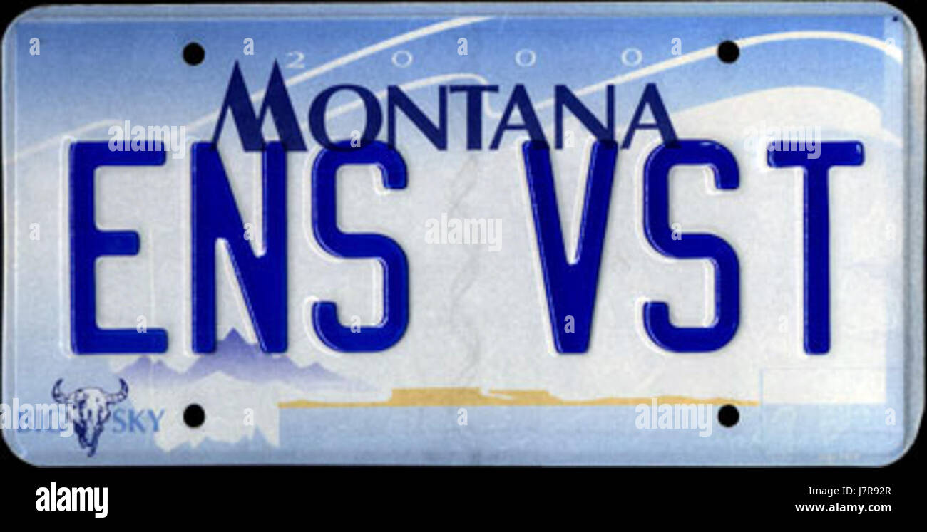 This image shows a 2000 Montana passenger license plate with a 3M test ...
