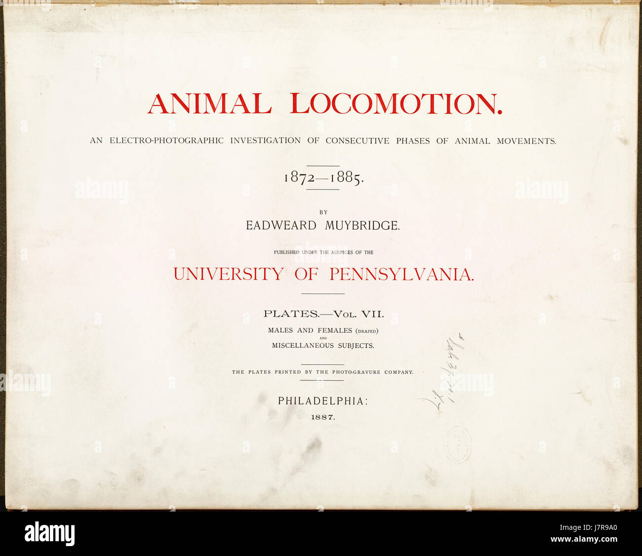 The title page of 'Animal Locomotion VII' from the Boston Public ...