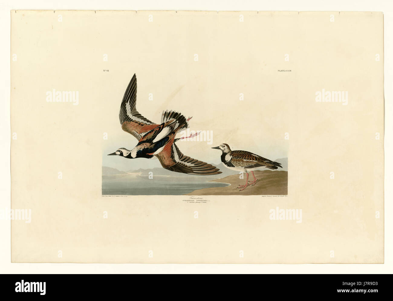 Early turn hi-res stock photography and images - Alamy