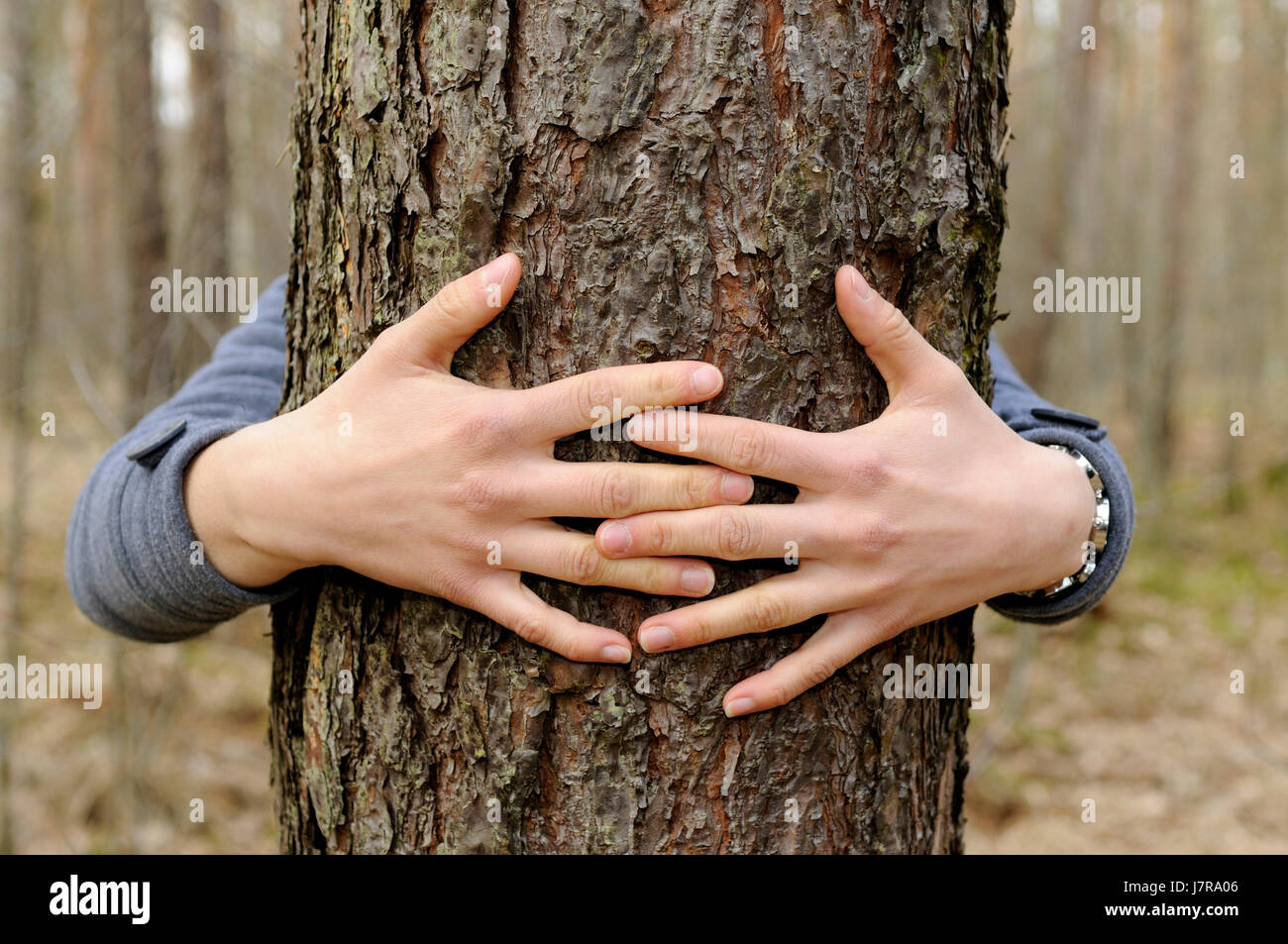 hands hug a tree Stock Photo - Alamy