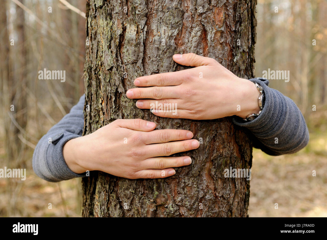hands hug a tree Stock Photo - Alamy