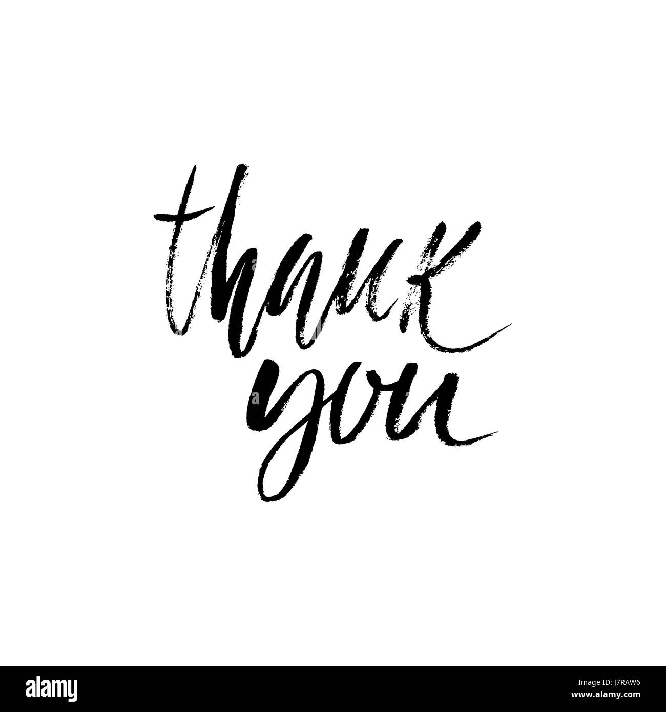 Thank You handwritten inscription. Hand drawn modern dry brush ...