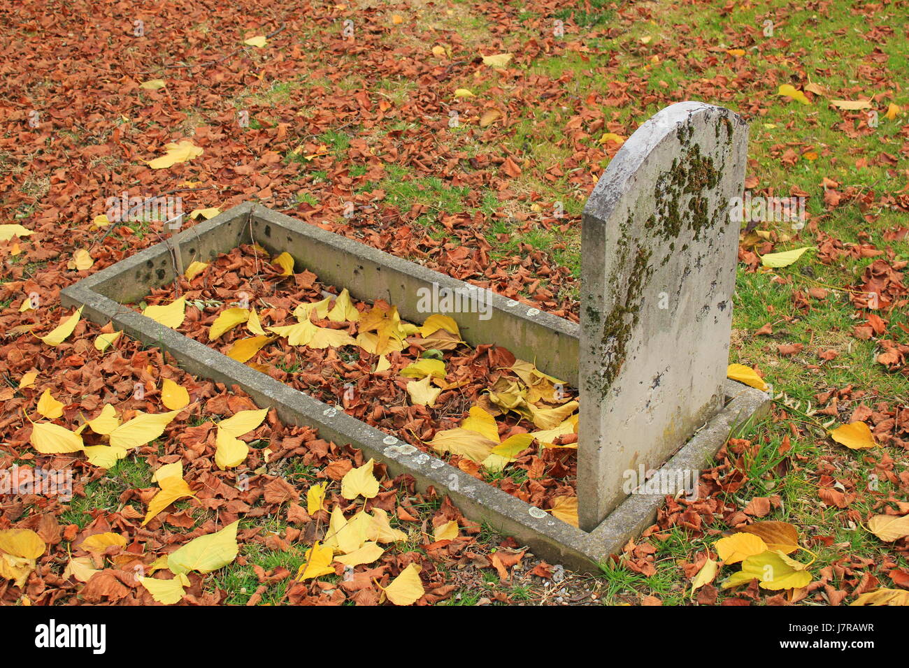 leaves cemetery gravestone tombstone tomb grave foliage fall autumn leaf detail Stock Photo - Alamy
