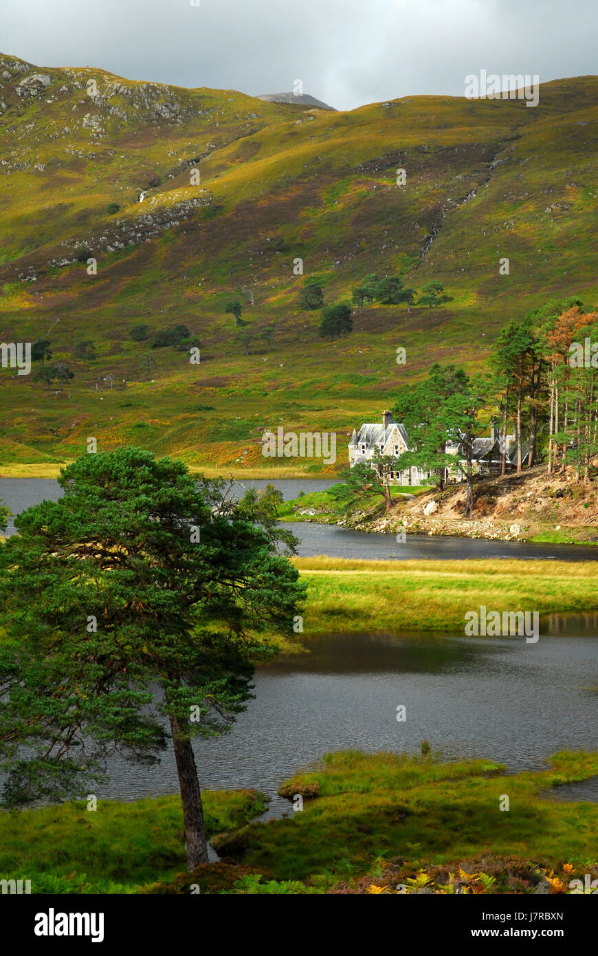 tree trees mountains conservation of nature scotland fresh water lake ...