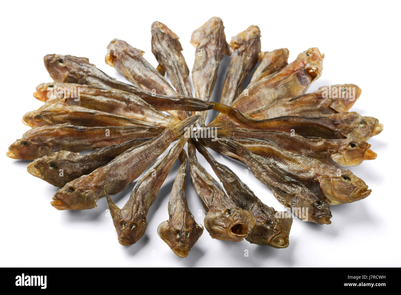 food aliment isolated fish silver virtual memory memory ram seafood ...