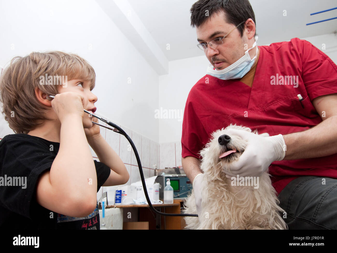 Best veterinarian hi-res stock photography and images - Alamy