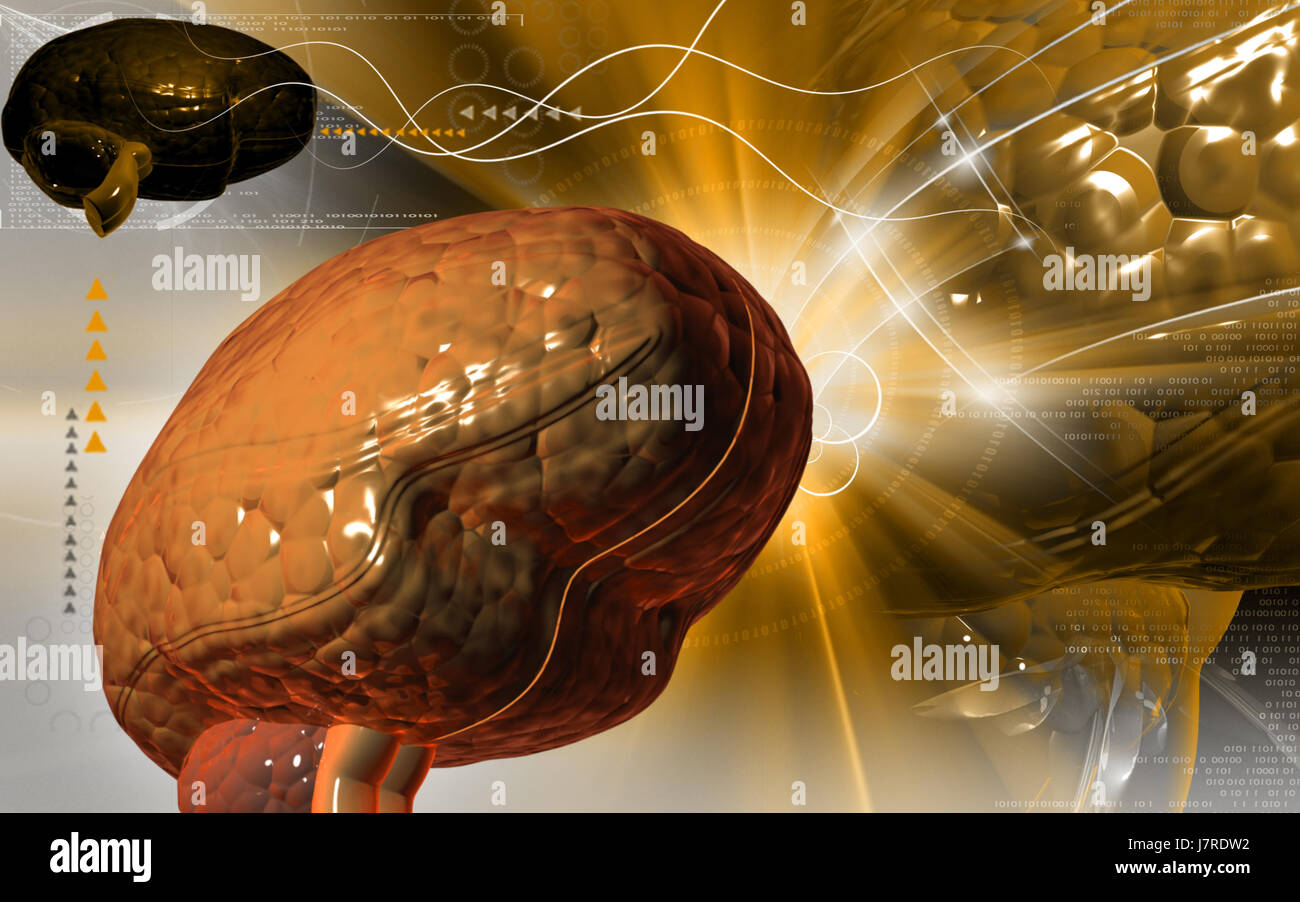 health medicinally medical graphics colour human human being ...